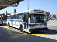 Brantford Transit - CPTDB Wiki (Canadian Public Transit Discussion Board)